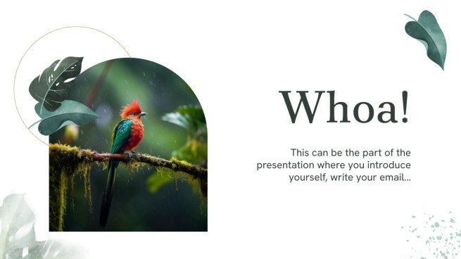 Natural Wonders of Guyana Presentation