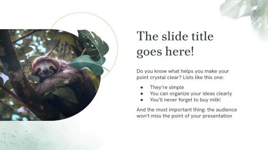 Natural Wonders of Guyana Presentation