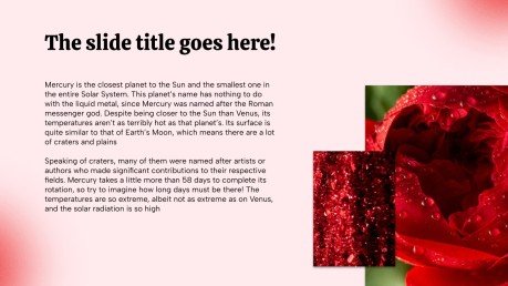 Crimson Cherry Marketing Basic Template