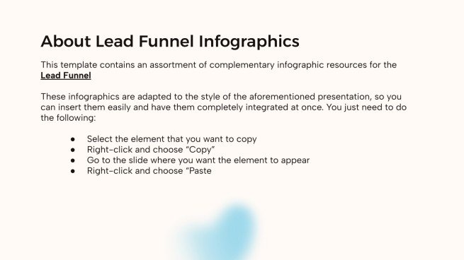Lead Funnel Infographics