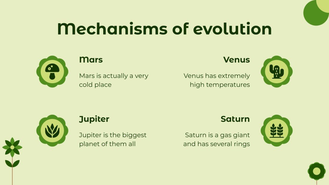 Evolution and Ecology - Biology - 11th Grade Presentation