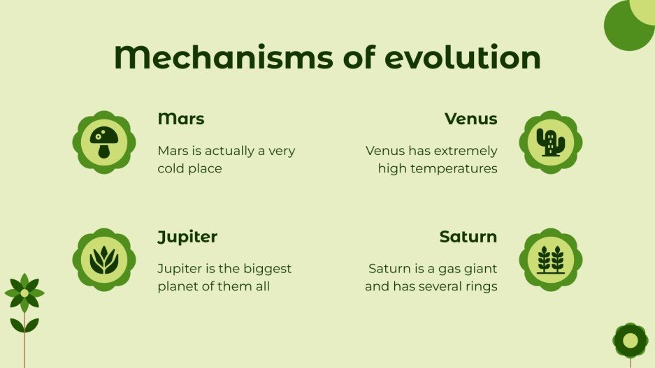 Evolution and Ecology - Biology - 11th Grade Presentation