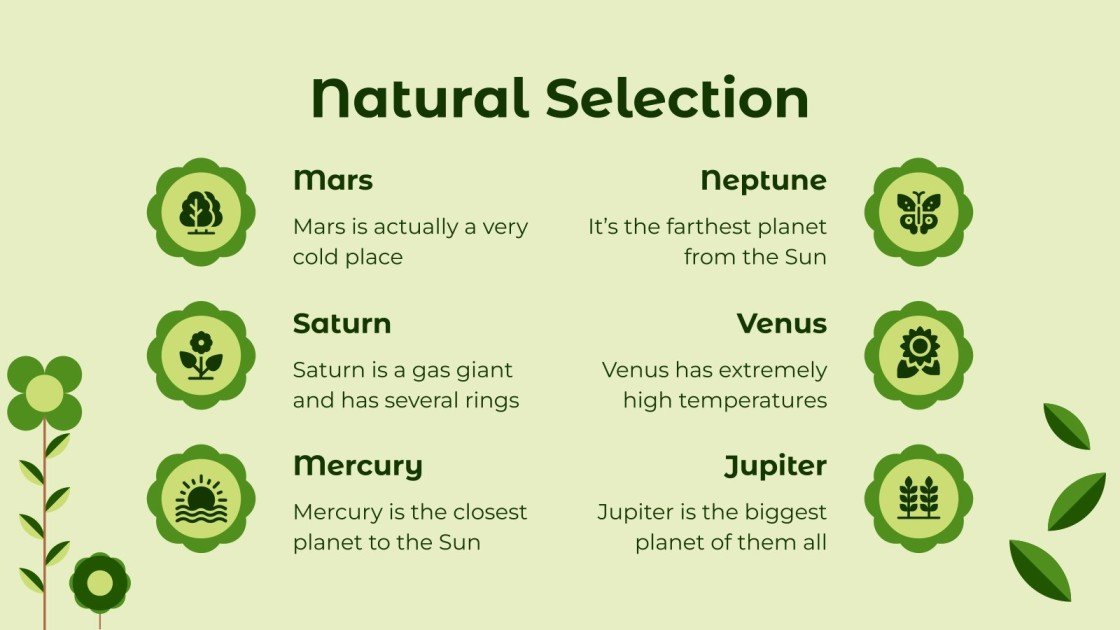 Evolution and Ecology - Biology - 11th Grade Presentation
