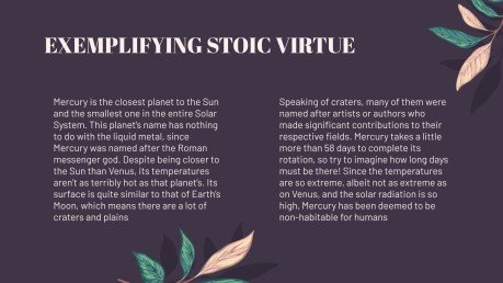 Stoic Wisdom for Daily Life Presentation