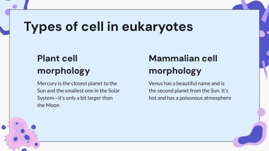 Cellular Morphology Presentation