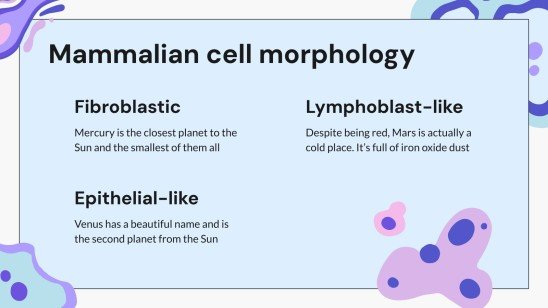 Cellular Morphology Presentation
