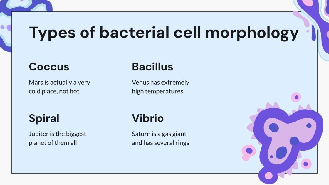 Cellular Morphology Presentation