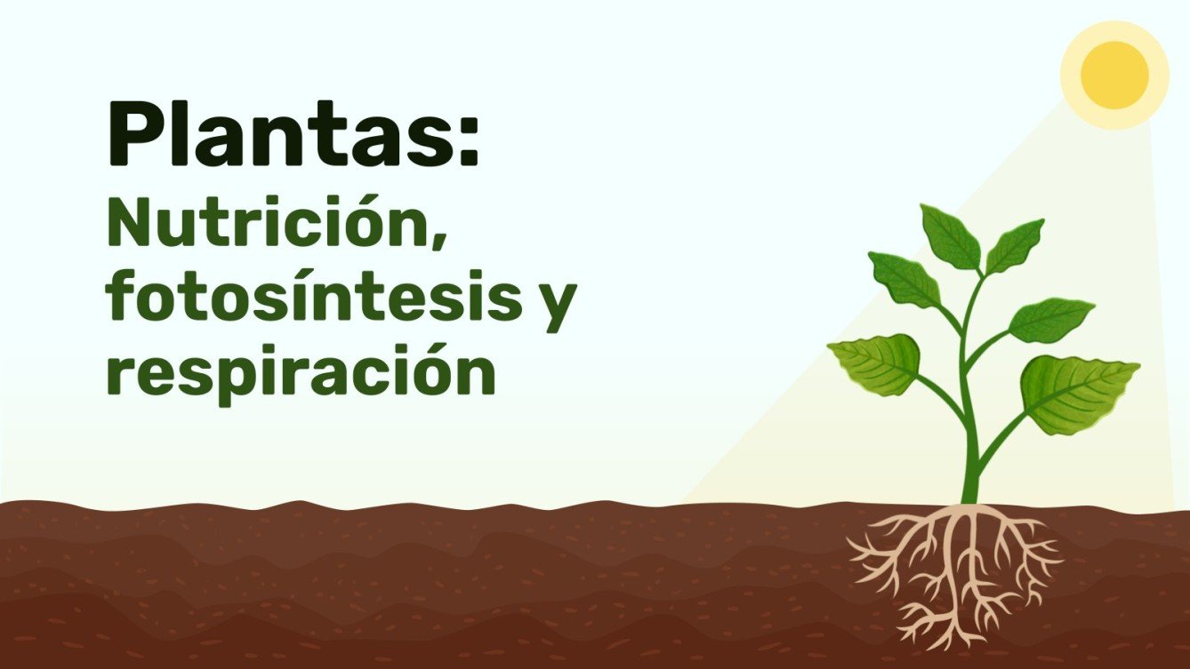 Plantillas gratis sobre plantas para Google Slides y PowerPoint