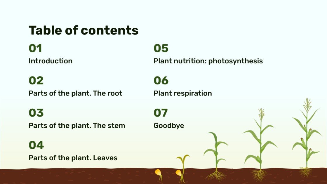 Plants: nutrition, photosynthesis and respiration