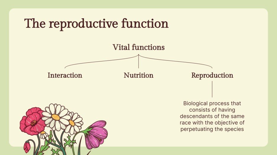 The Reproductive Function in Plants