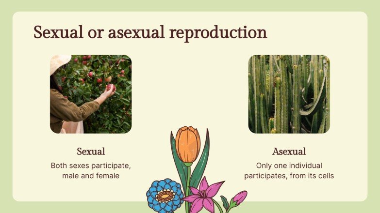 The Reproductive Function in Plants