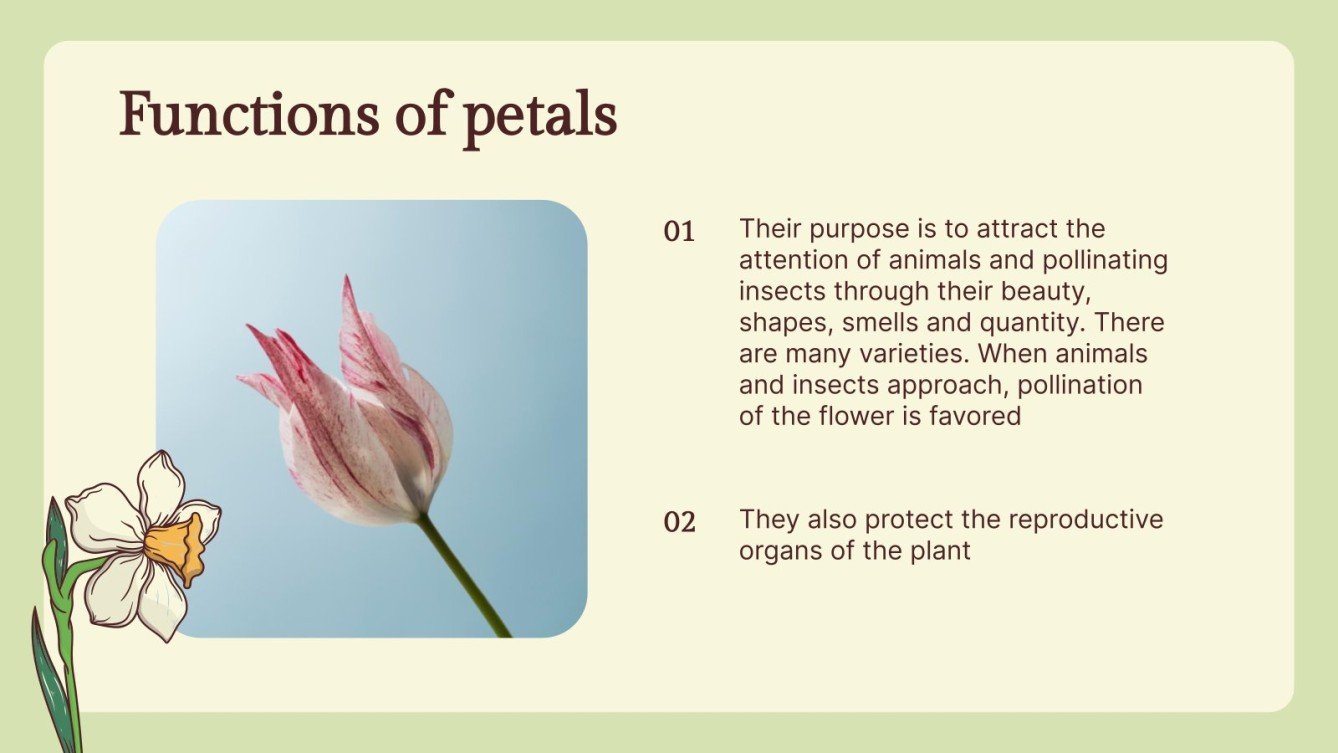 The Reproductive Function in Plants