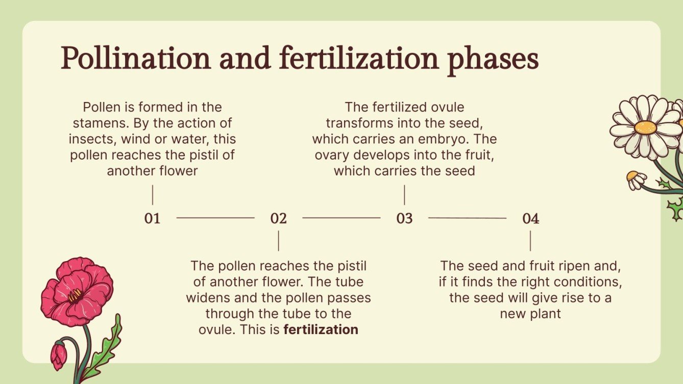 The Reproductive Function in Plants