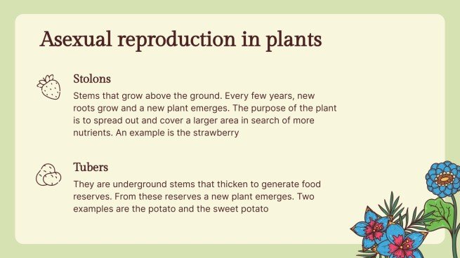 The Reproductive Function in Plants