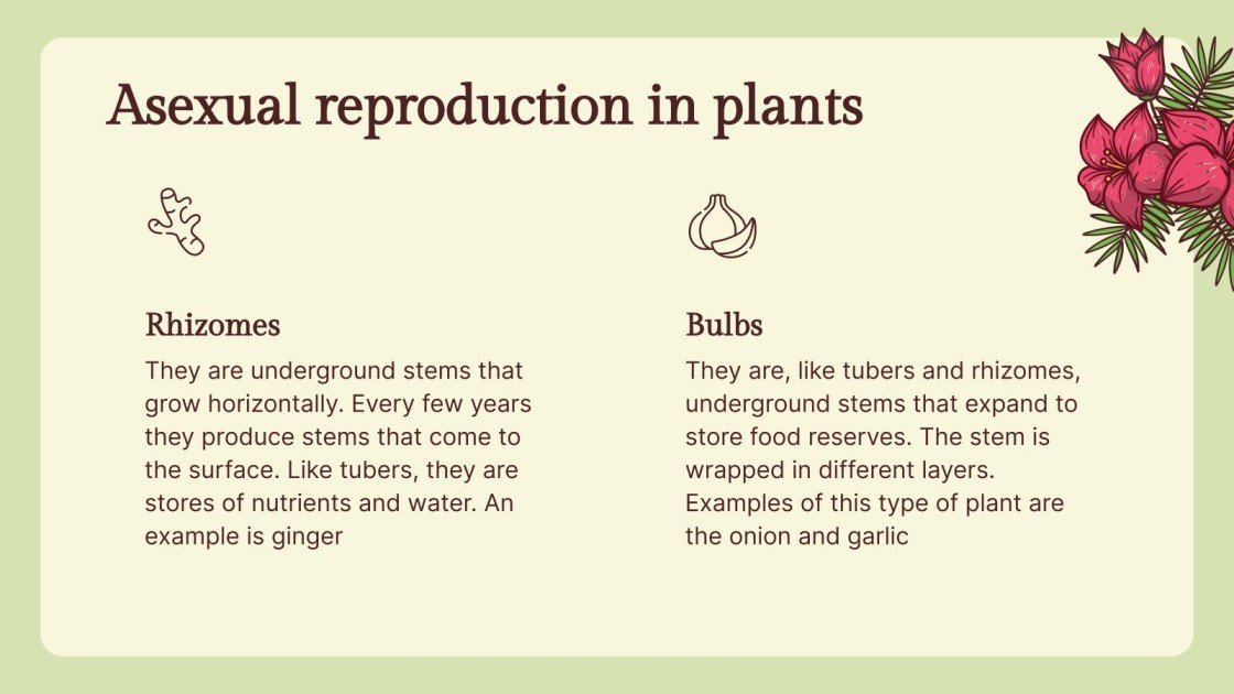 The Reproductive Function in Plants