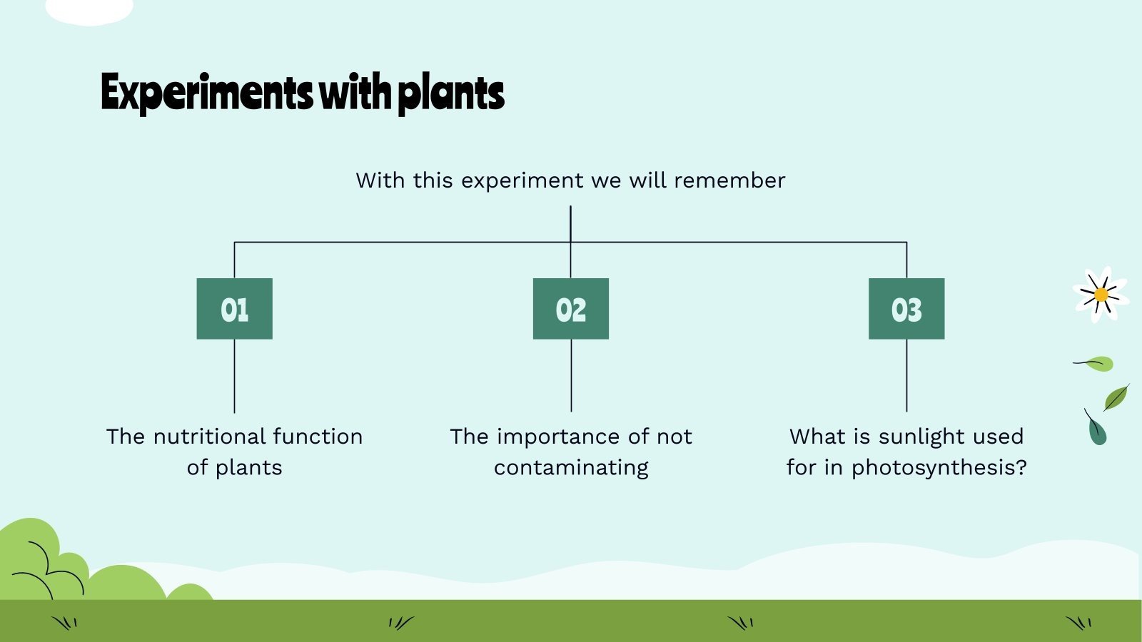 Experiments With Plants and Their Consequences Presentation