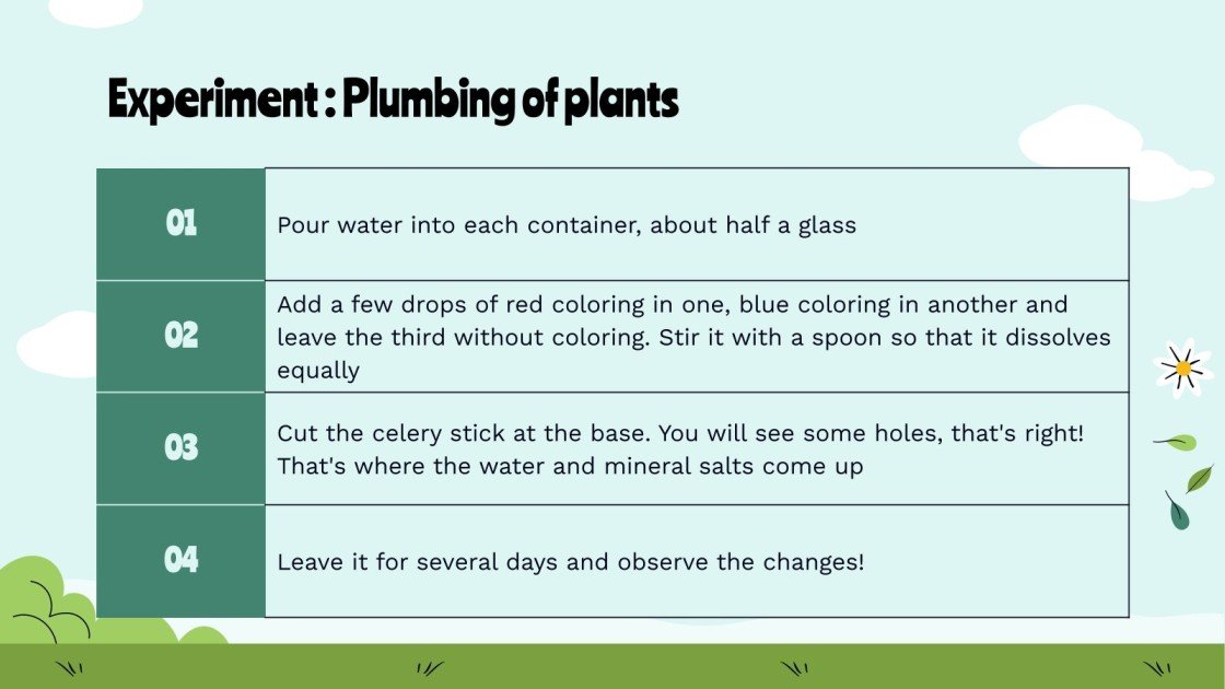 Experiments With Plants and Their Consequences Presentation