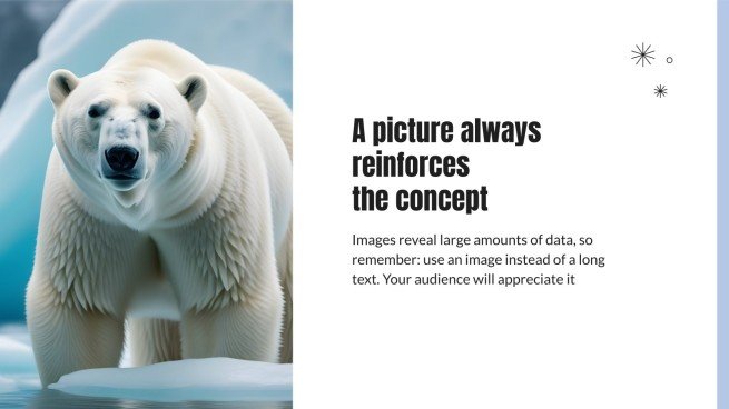 Presentación Conferencia sobre sostenibilidad y osos polares