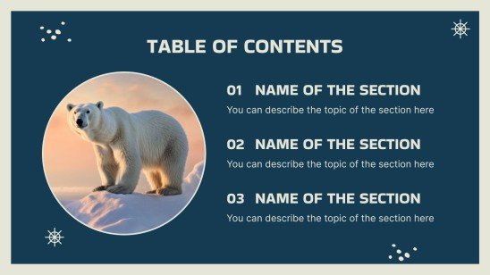 Happy Polar Bear Day! Presentation