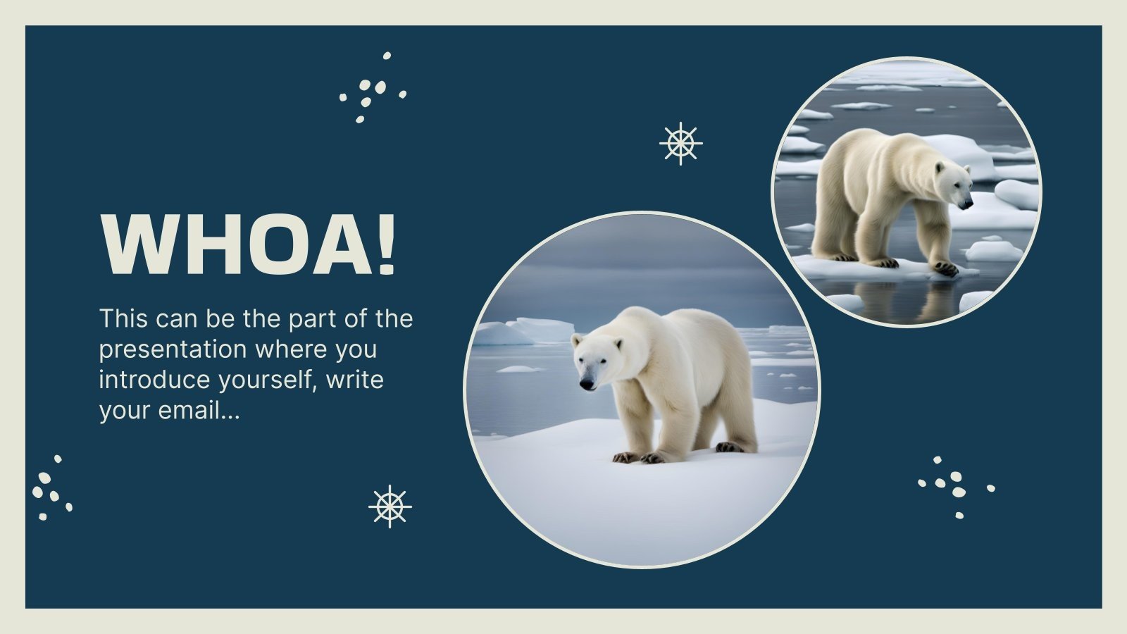 Happy Polar Bear Day! Presentation