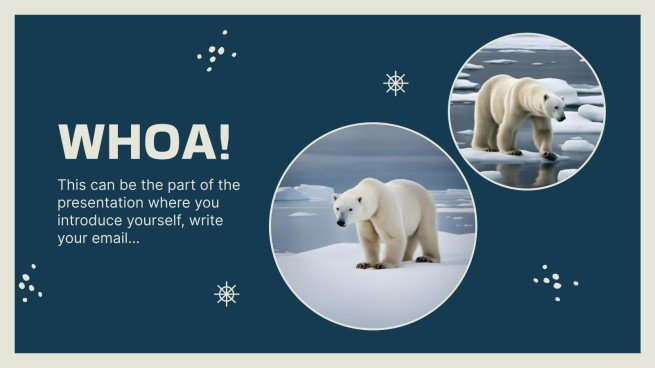 Happy Polar Bear Day! Presentation