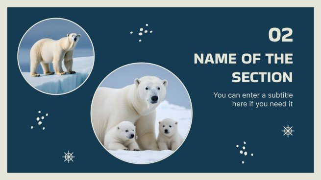 Happy Polar Bear Day! Presentation