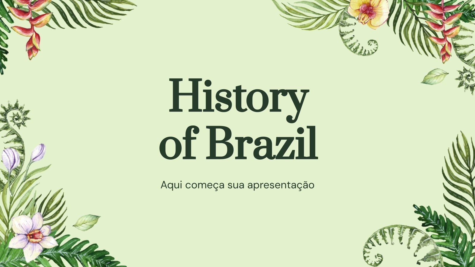 History of Brazil Presentation