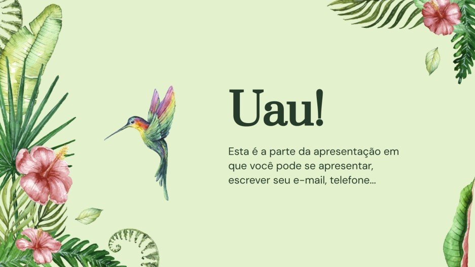 History of Brazil Presentation