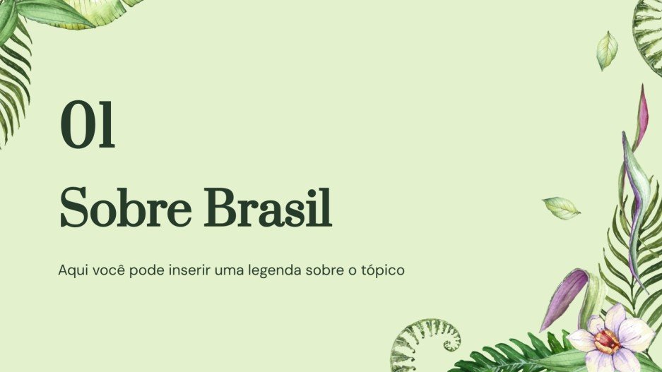 History of Brazil Presentation