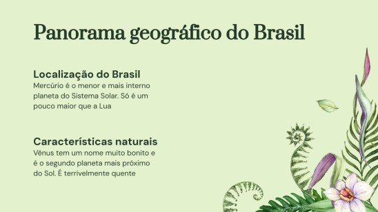 History of Brazil Presentation