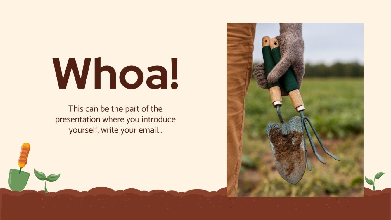 National Sowing Strategy Presentation