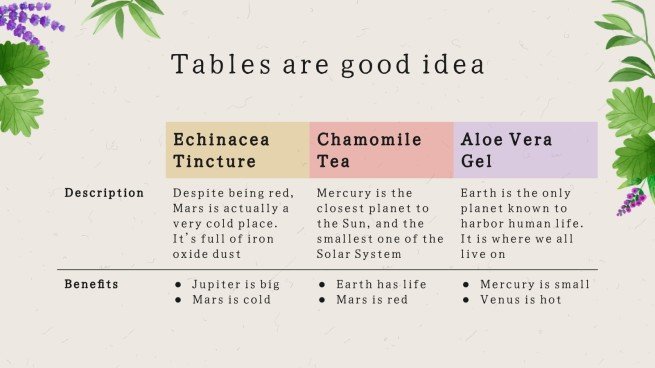 Traditional Herbal Remedies Presentation