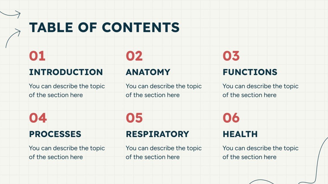 Lungs and Respiratory System Presentation