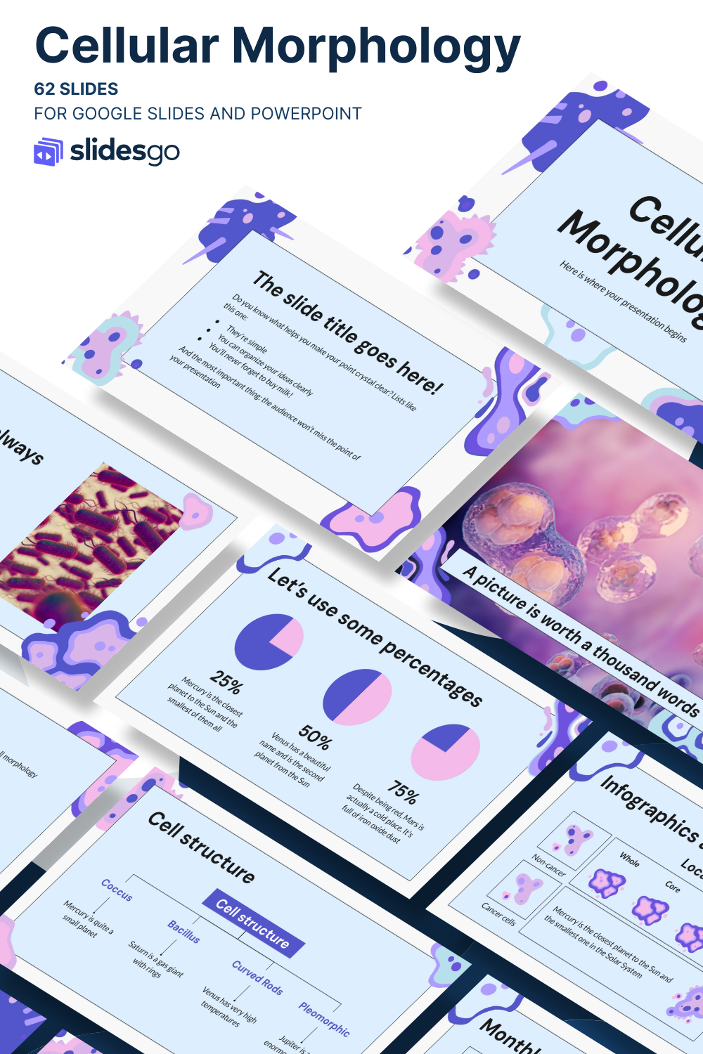 Cellular Morphology Presentation