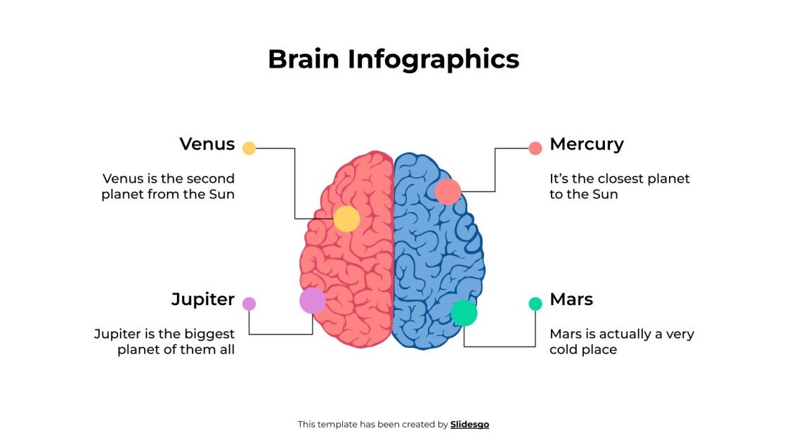 Brain Infographics