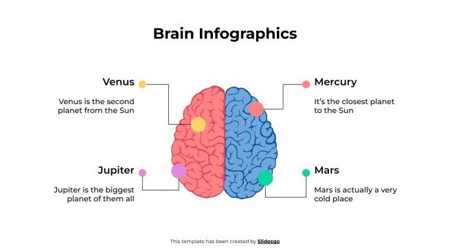 Brain Infographics
