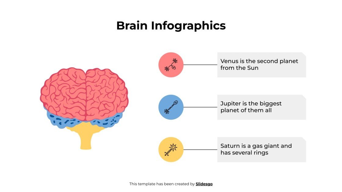 Brain Infographics