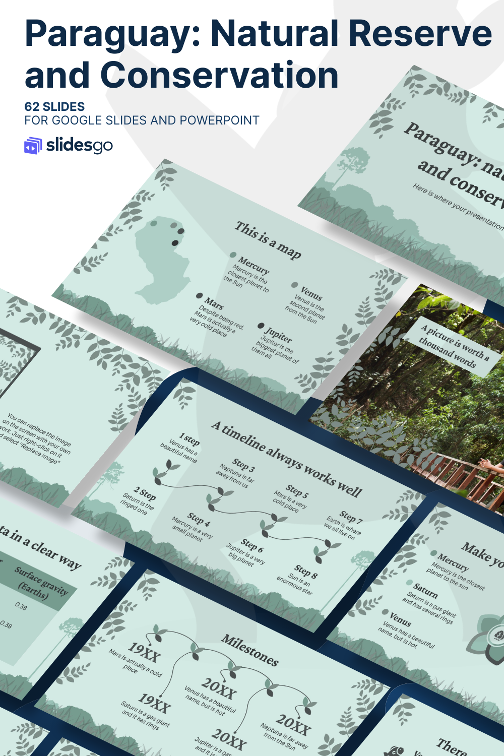 Paraguay: Natural Reserve and Conservation Presentation