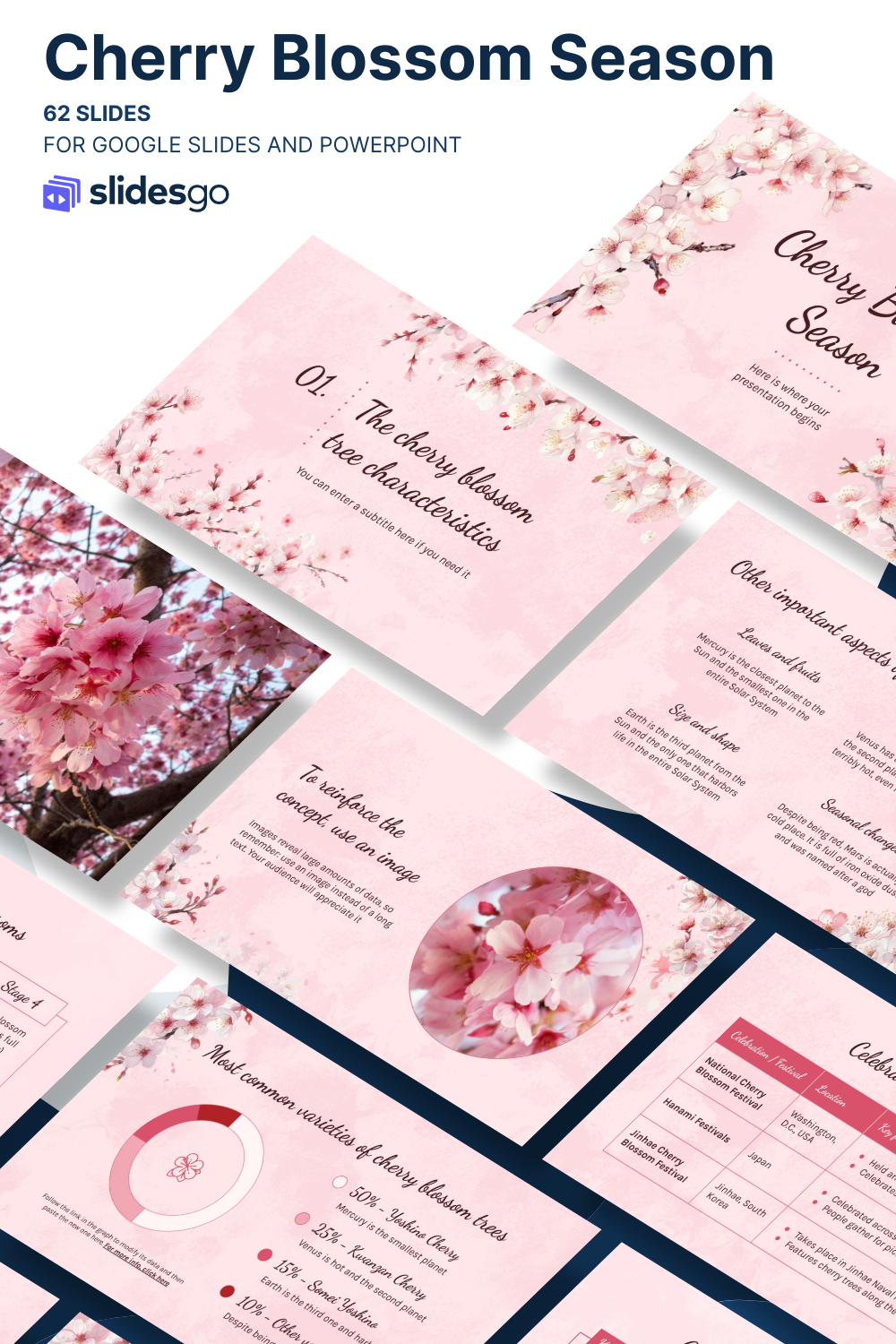 Cherry Blossom Season Presentation