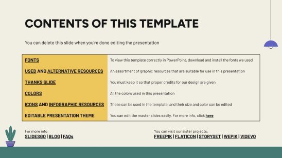 Simple Business Plan Presentation