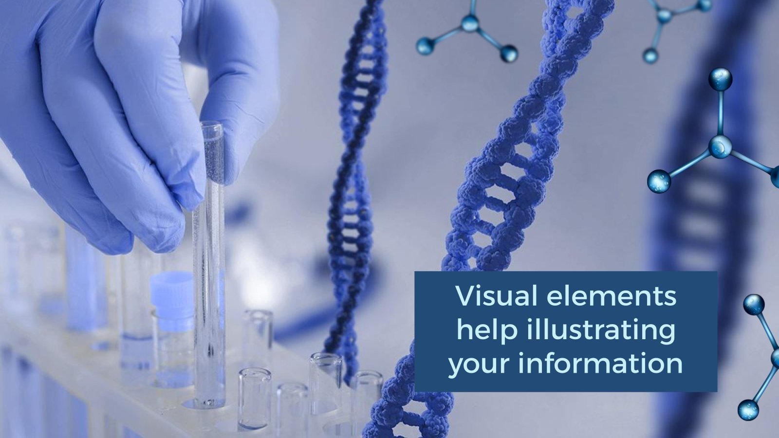 Molecular Genetics and Biotechnology - 12th Grade