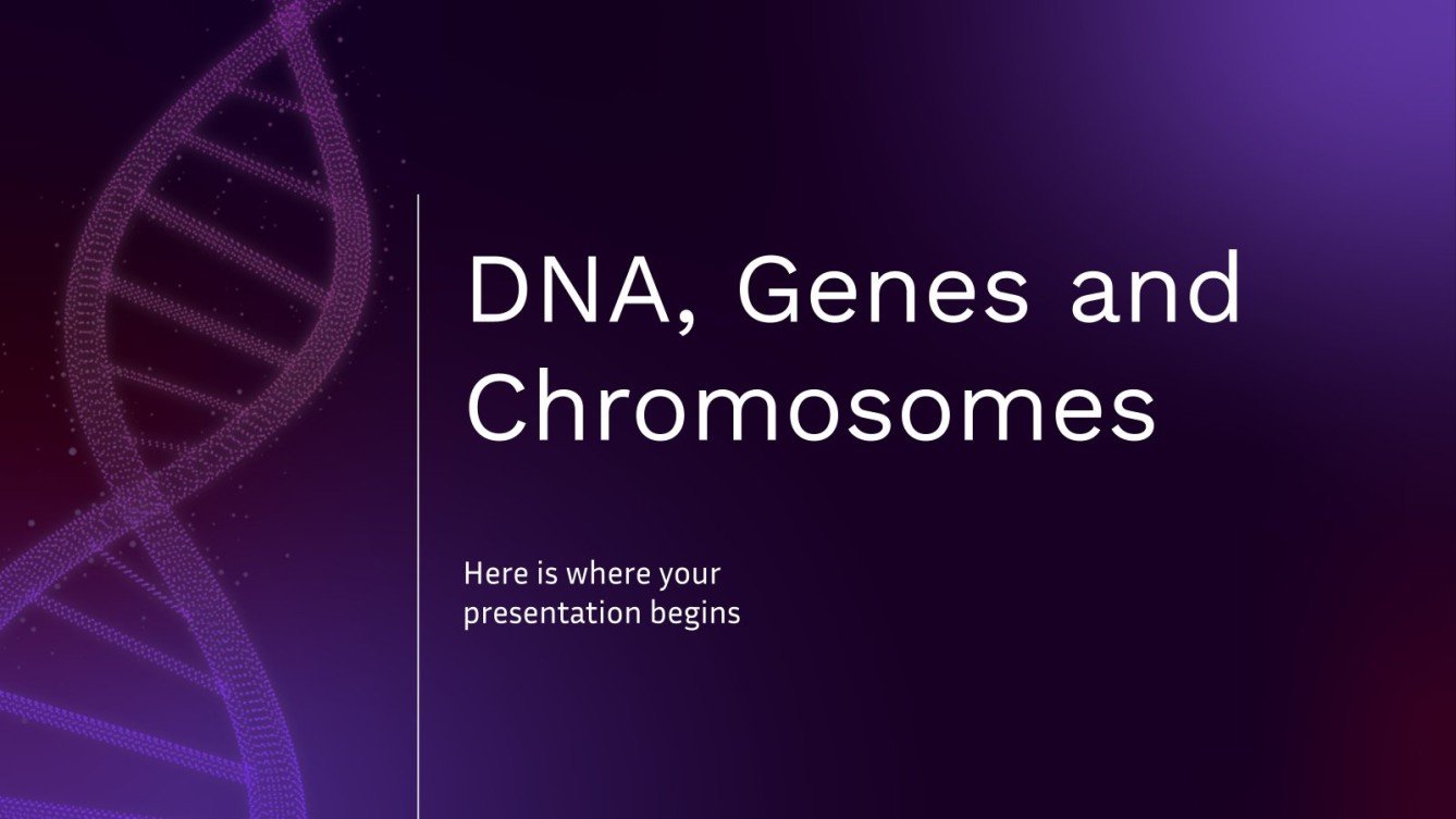 DNA, Genes and Chromosomes Presentation