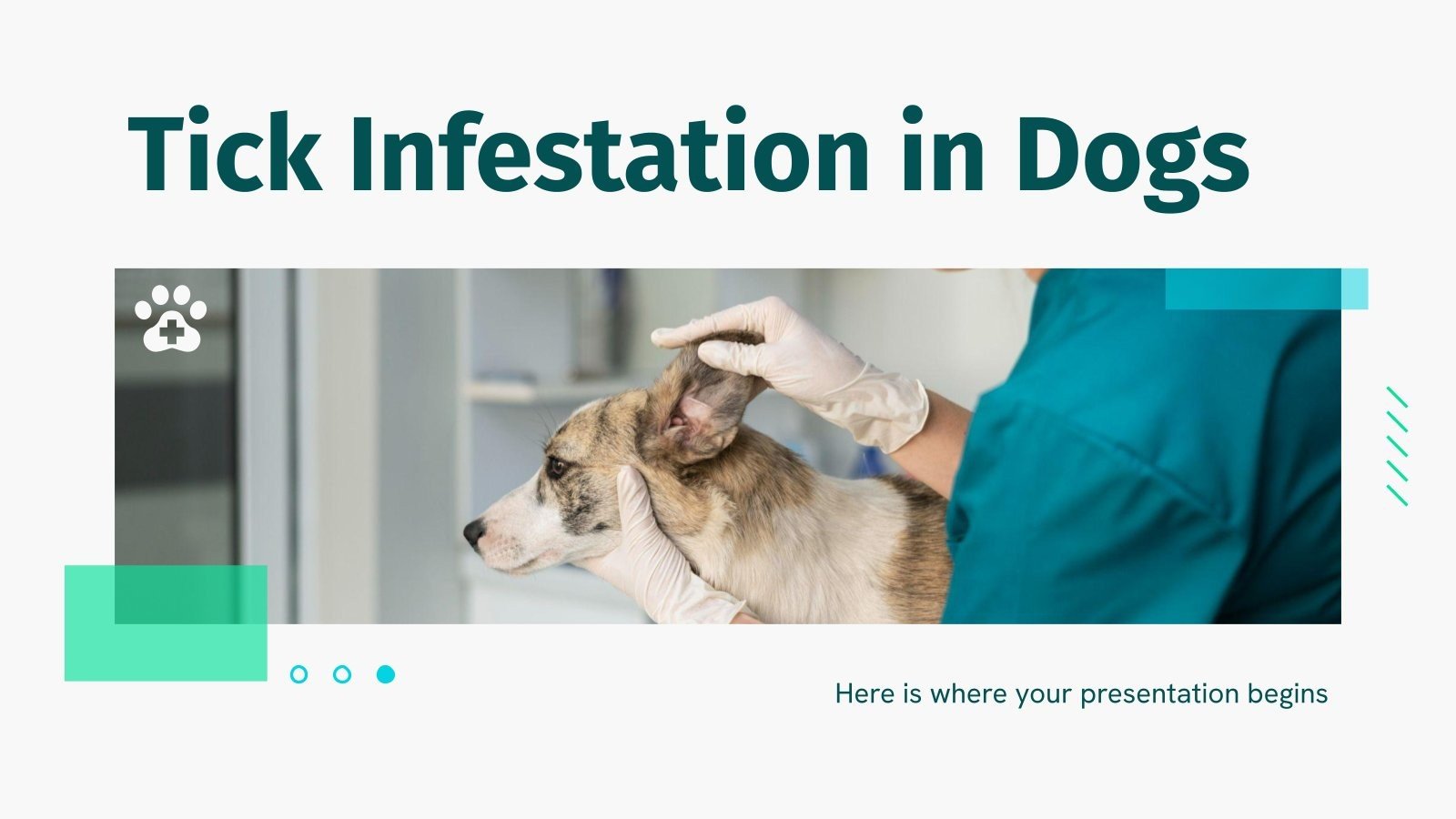 Tick Infestation in Dogs Presentation