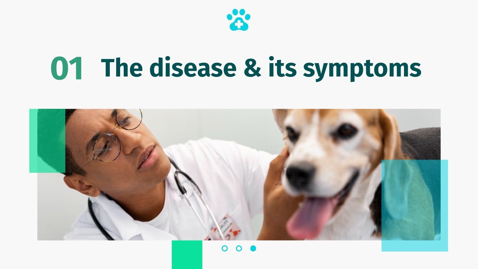 Tick Infestation in Dogs Presentation