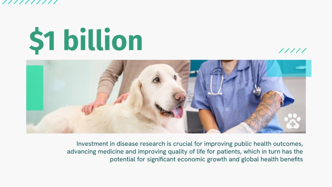 Tick Infestation in Dogs Presentation