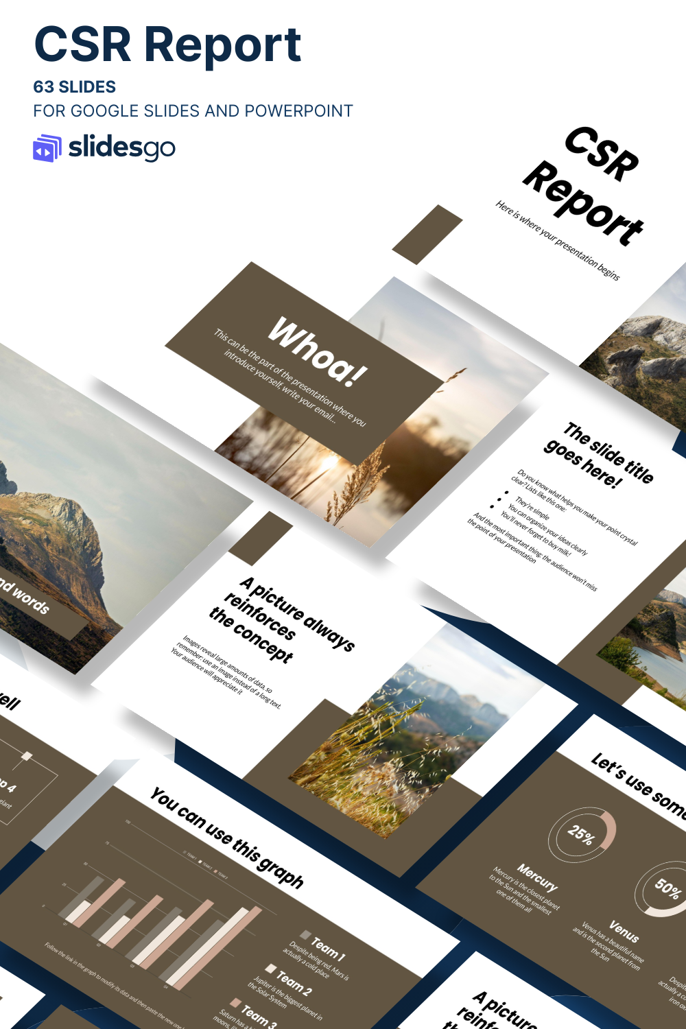 CSR Report Presentation