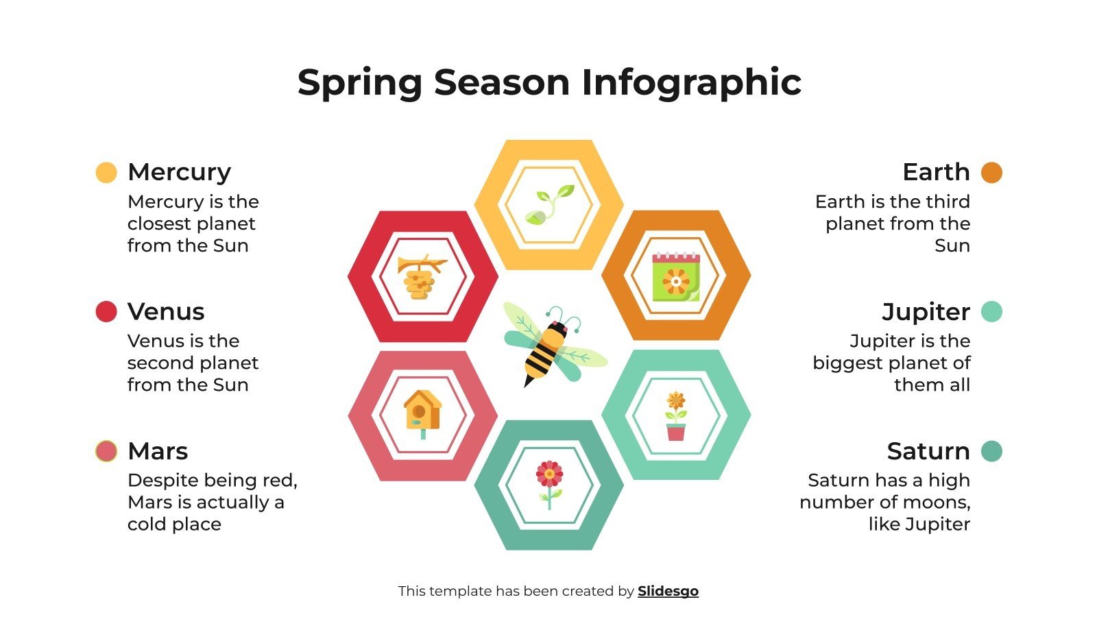 Spring Season Infographics