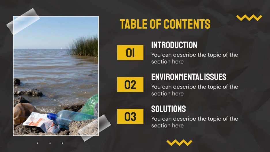 Biggest Environmental Issues - Presentation