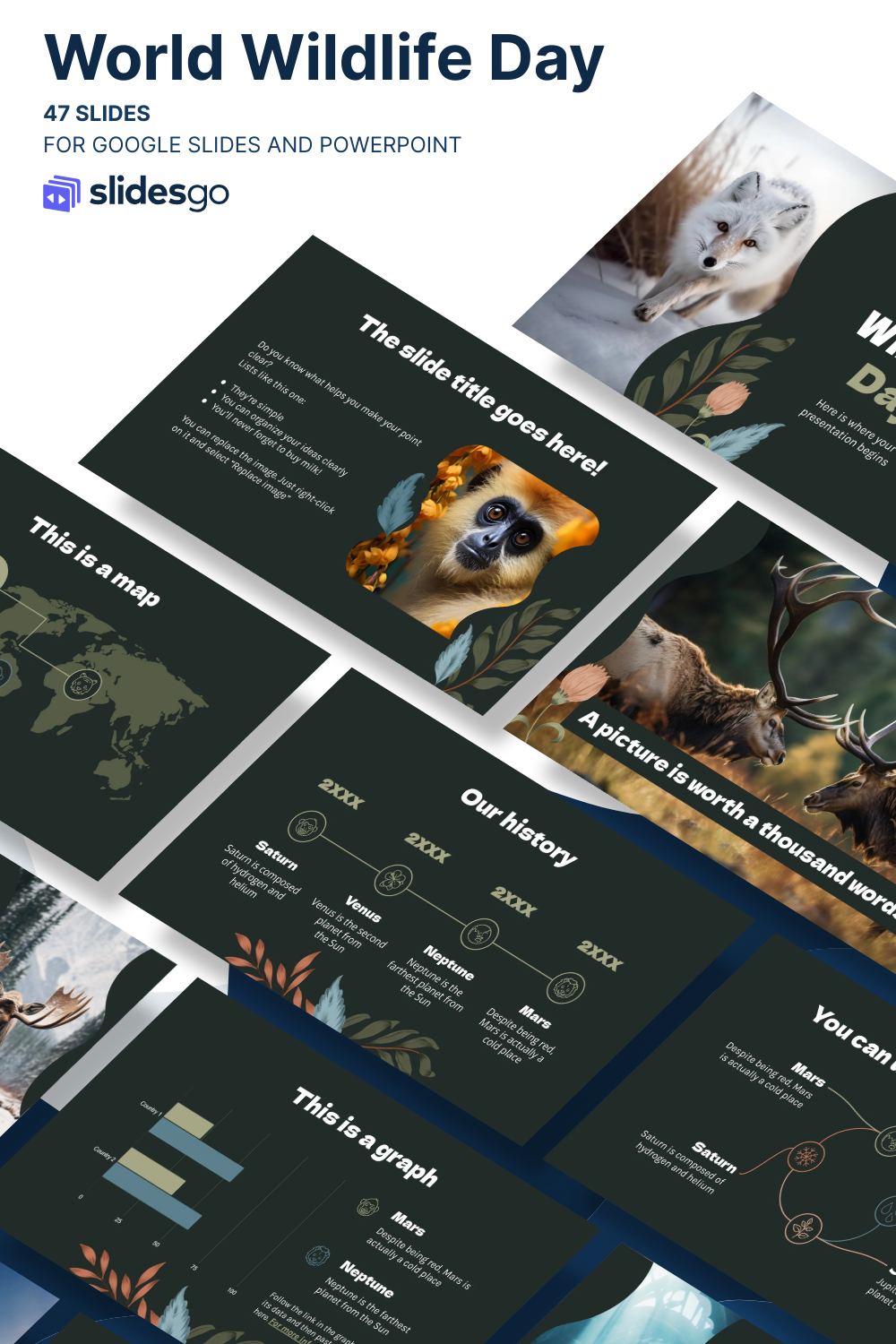 World Wildlife Day Presentation