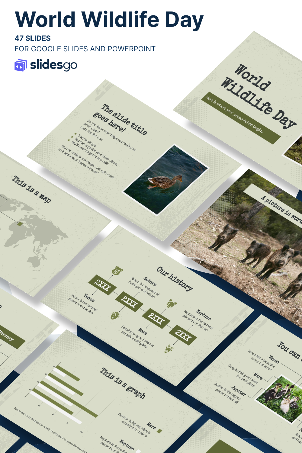 World Wildlife Day Presentation